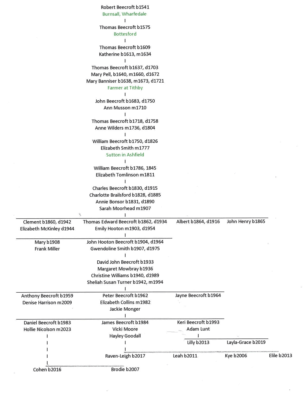 FAMILY TREE | Beecroft Toys